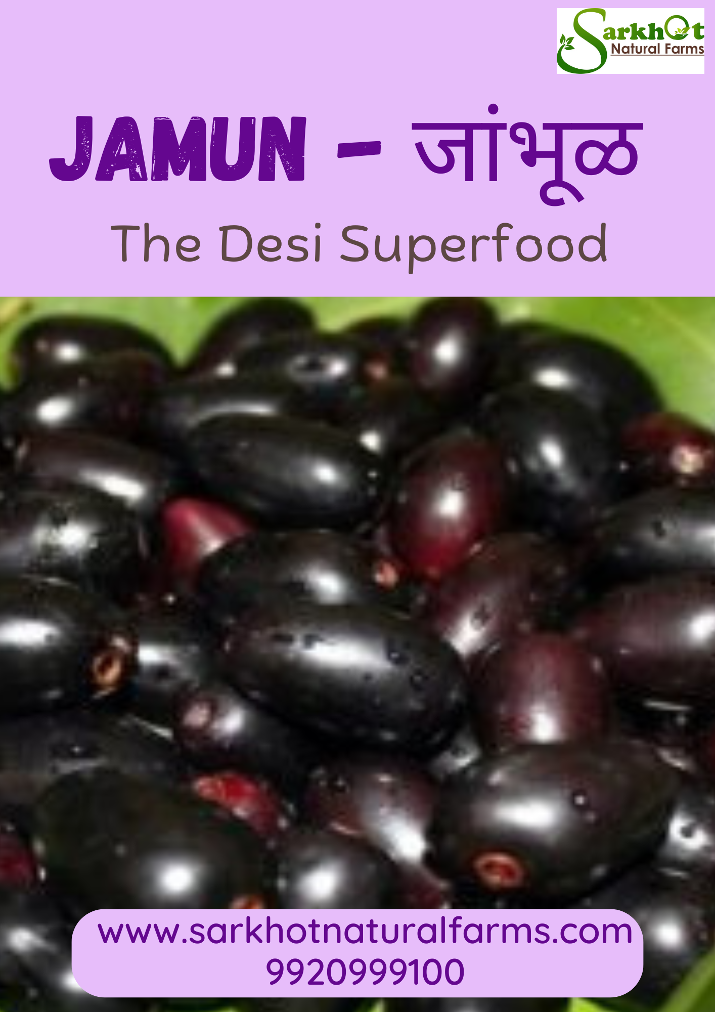 Fruits Archives - Sarkhot Natural Farms