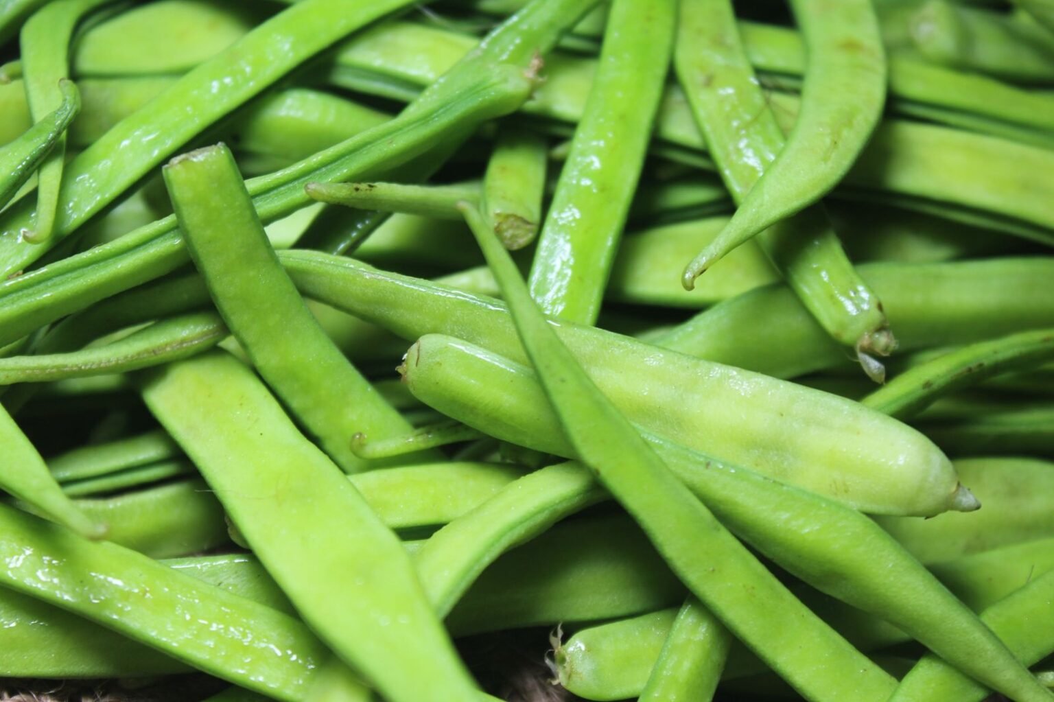 Cluster Beans - गवार - Sarkhot Natural Farms