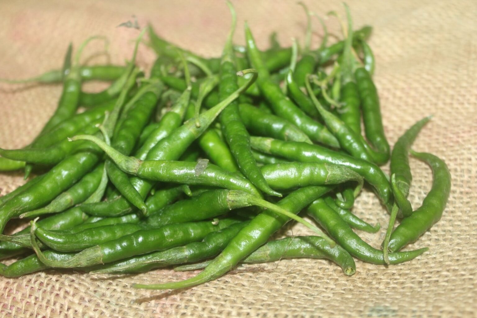 Green Chilly - हिरवी मिरची - Sarkhot Natural Farms