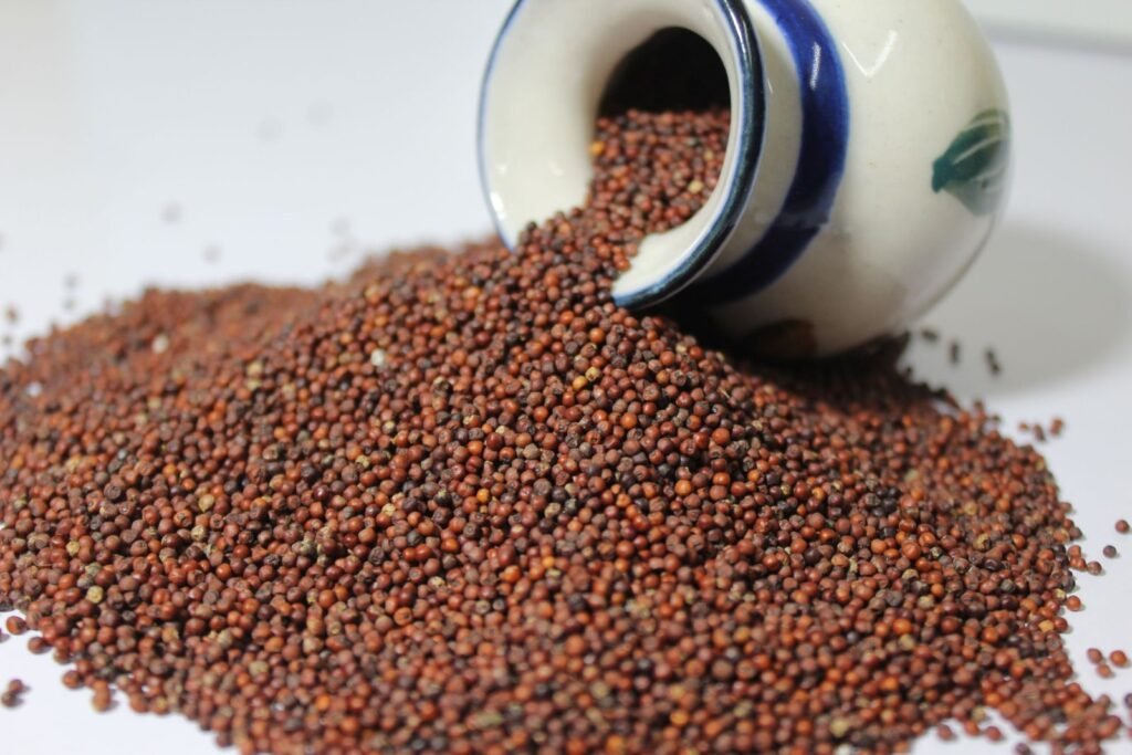 Finger Millet | Nachni | Ragi : नाचणी - Sarkhot Natural Farms