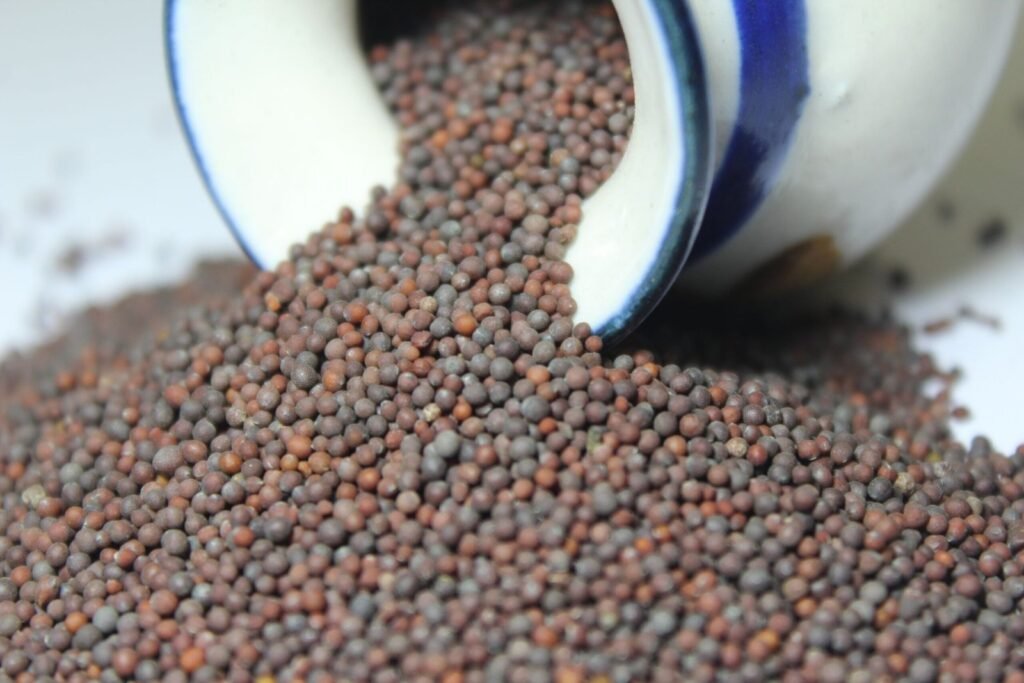 Mustard seed | Rai - मोहरी | राई - Sarkhot Natural Farms
