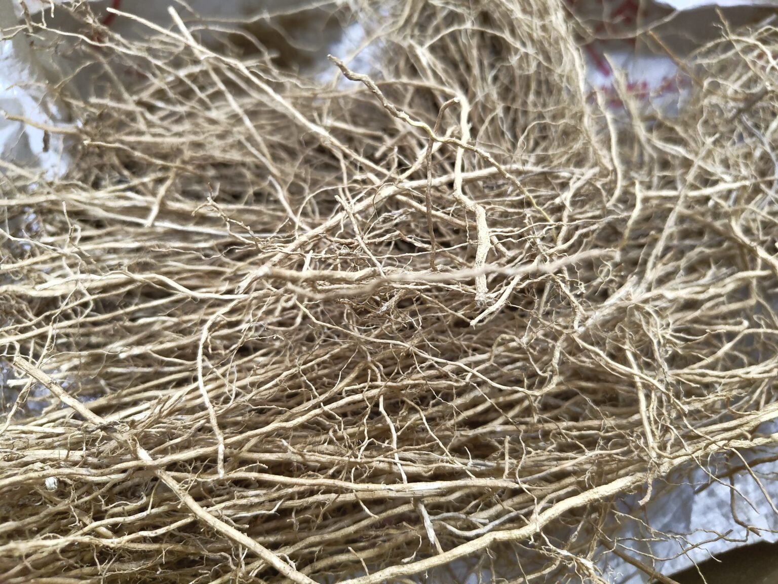 Vetiver roots - Khus / वाळा - Sarkhot Natural Farms